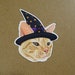 Witchy Cat Sticker - Etsy