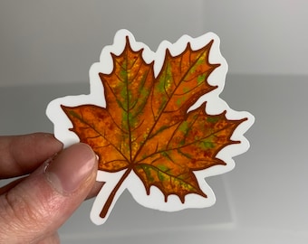 Maple Leaves Sticker Fall Leaves Sticker Vinyl Stickers - Etsy