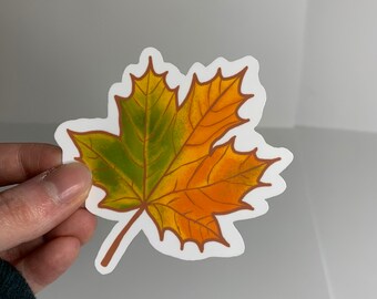 Maple Leaves Sticker Fall Leaves Sticker Vinyl Stickers - Etsy