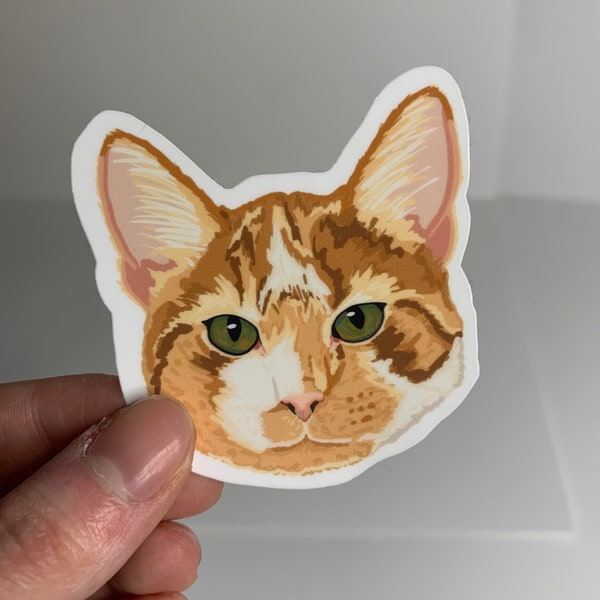 Orange Cat Sticker - Etsy
