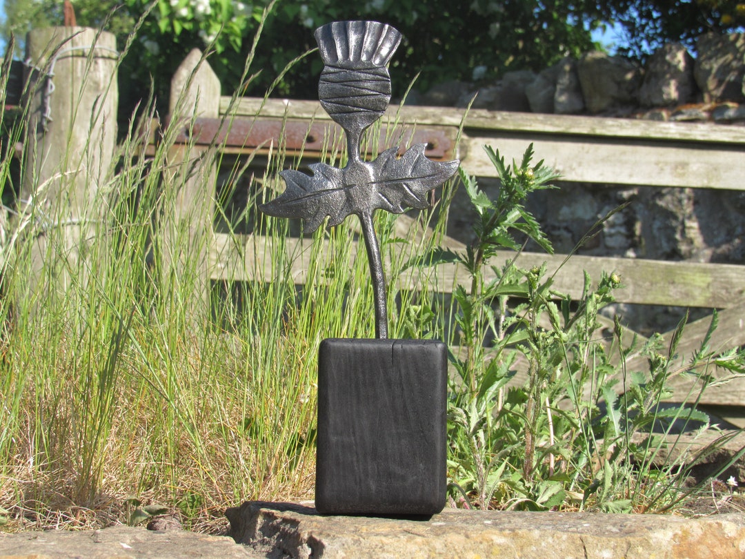 Hand Forged Thistle Sculpture, Handmade by Scottish Blacksmith - Etsy