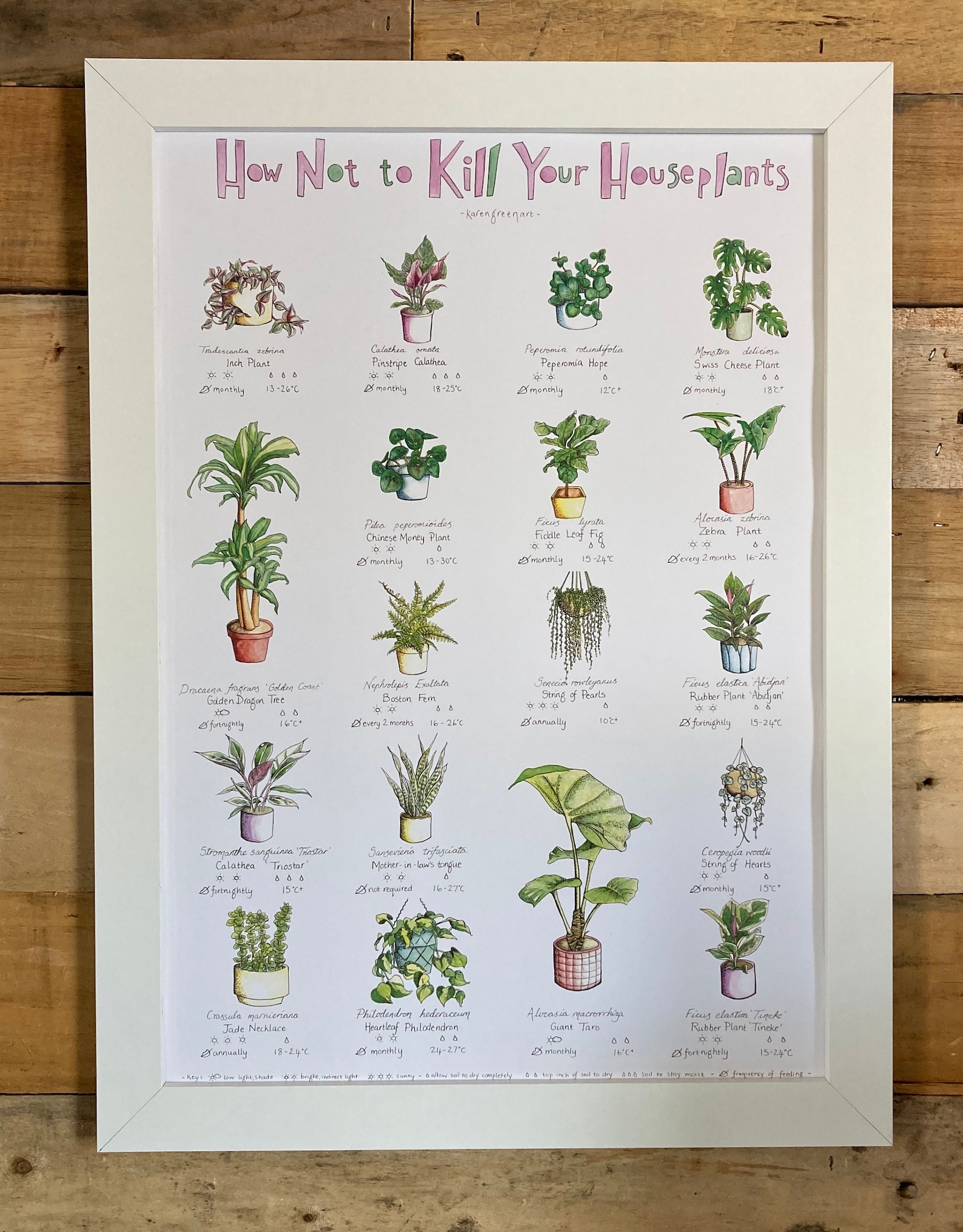 How Not to Kill Your Houseplants Poster - Etsy