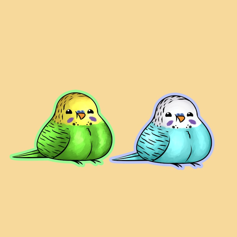 Fat Bird - Etsy