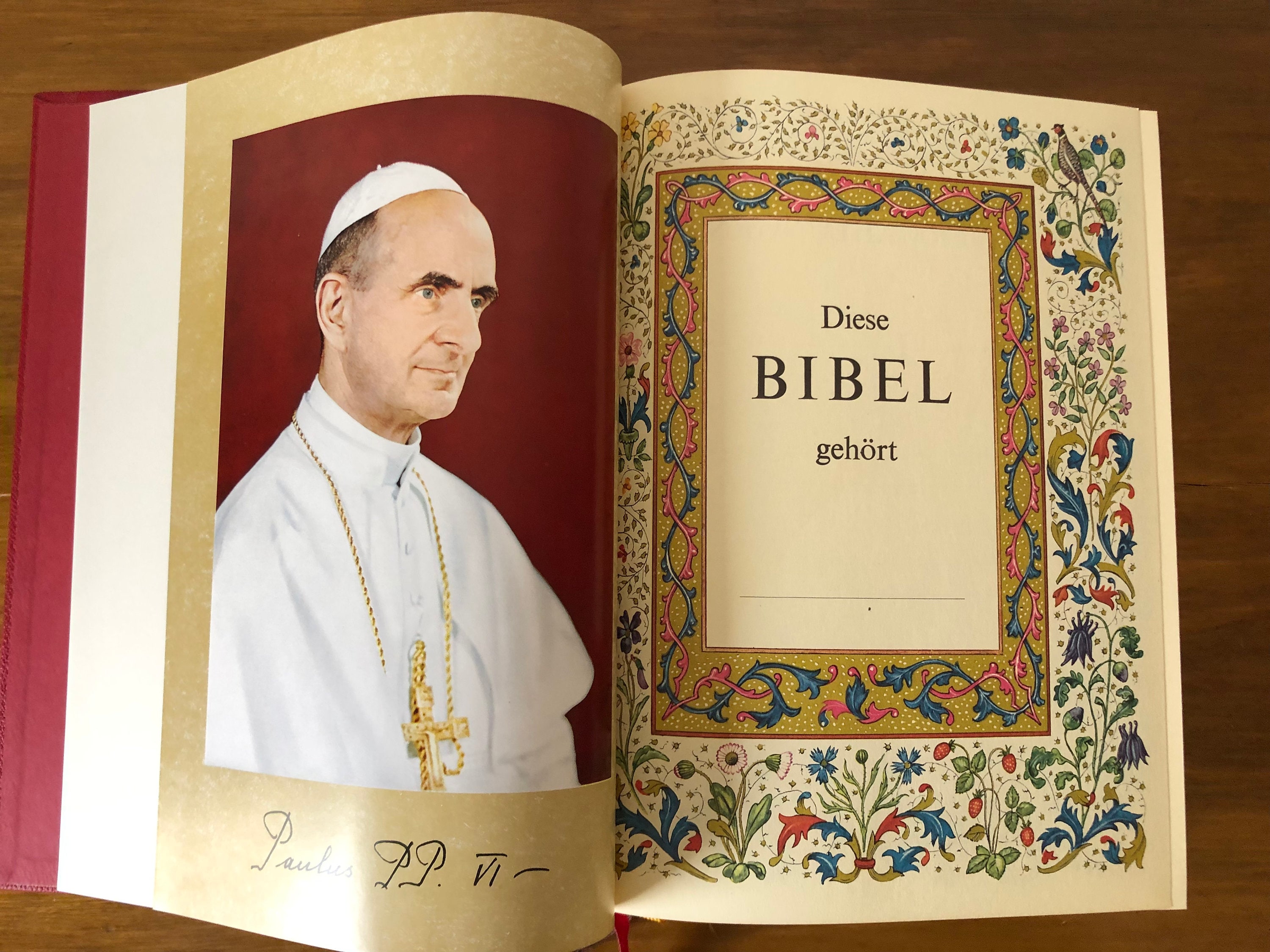 Diese BIBEL the Bible in German - Etsy