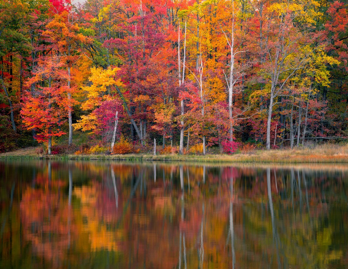 Fall Color of West Virginia, Landscape Photography, Fine Art Print - Etsy