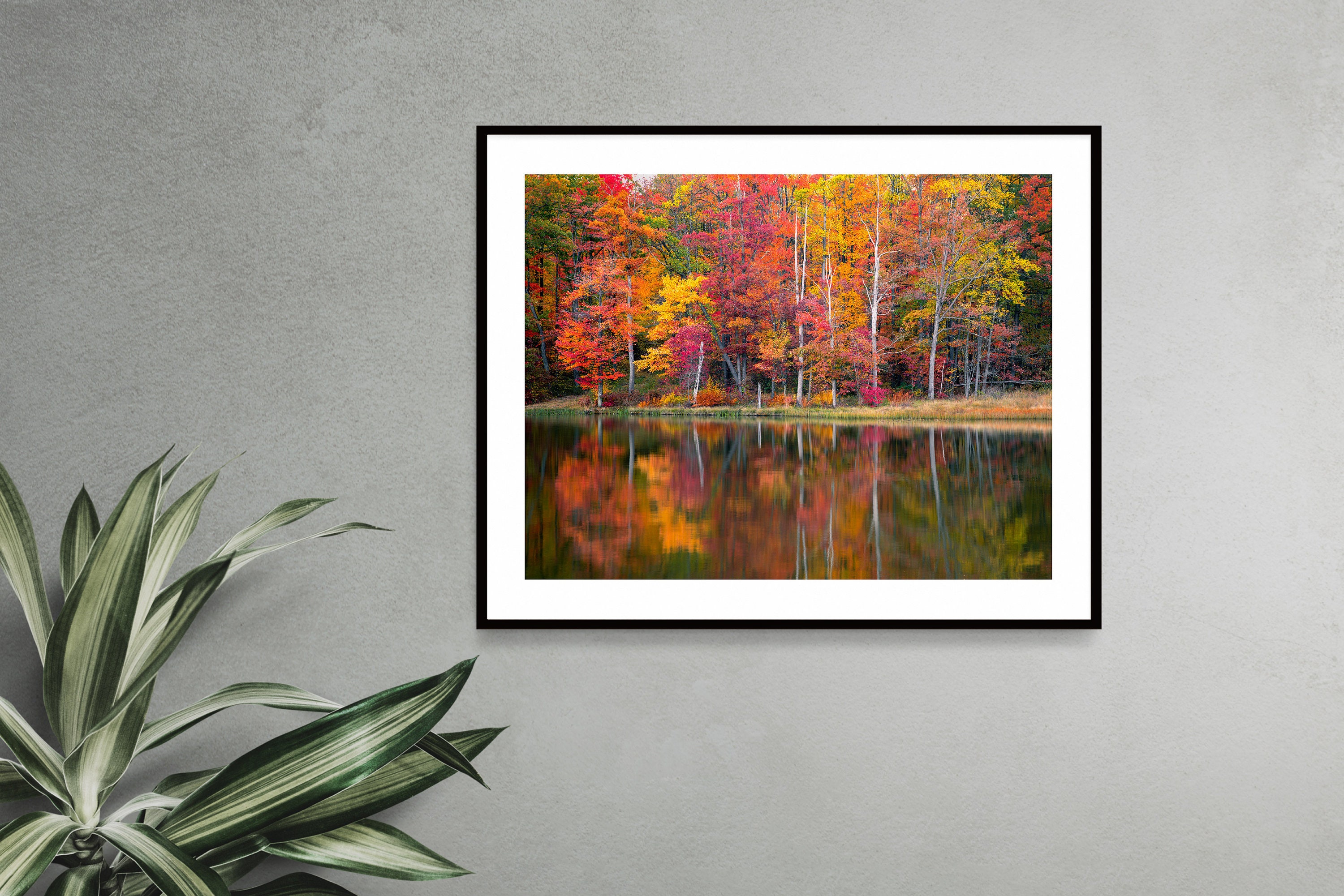 Fall Color of West Virginia, Landscape Photography, Fine Art Print - Etsy