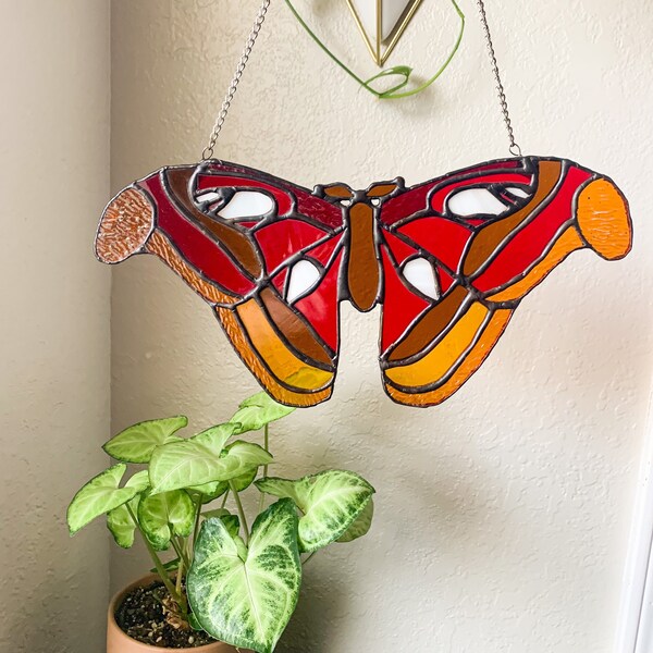 Moth Stained Glass Pattern - Etsy