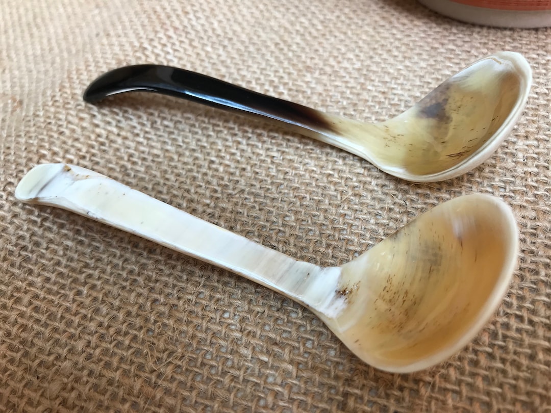 2 Spice Spoons Mini, Buffalo Spice Spoon Set , Buffalo Horn Spoon, Horn ...
