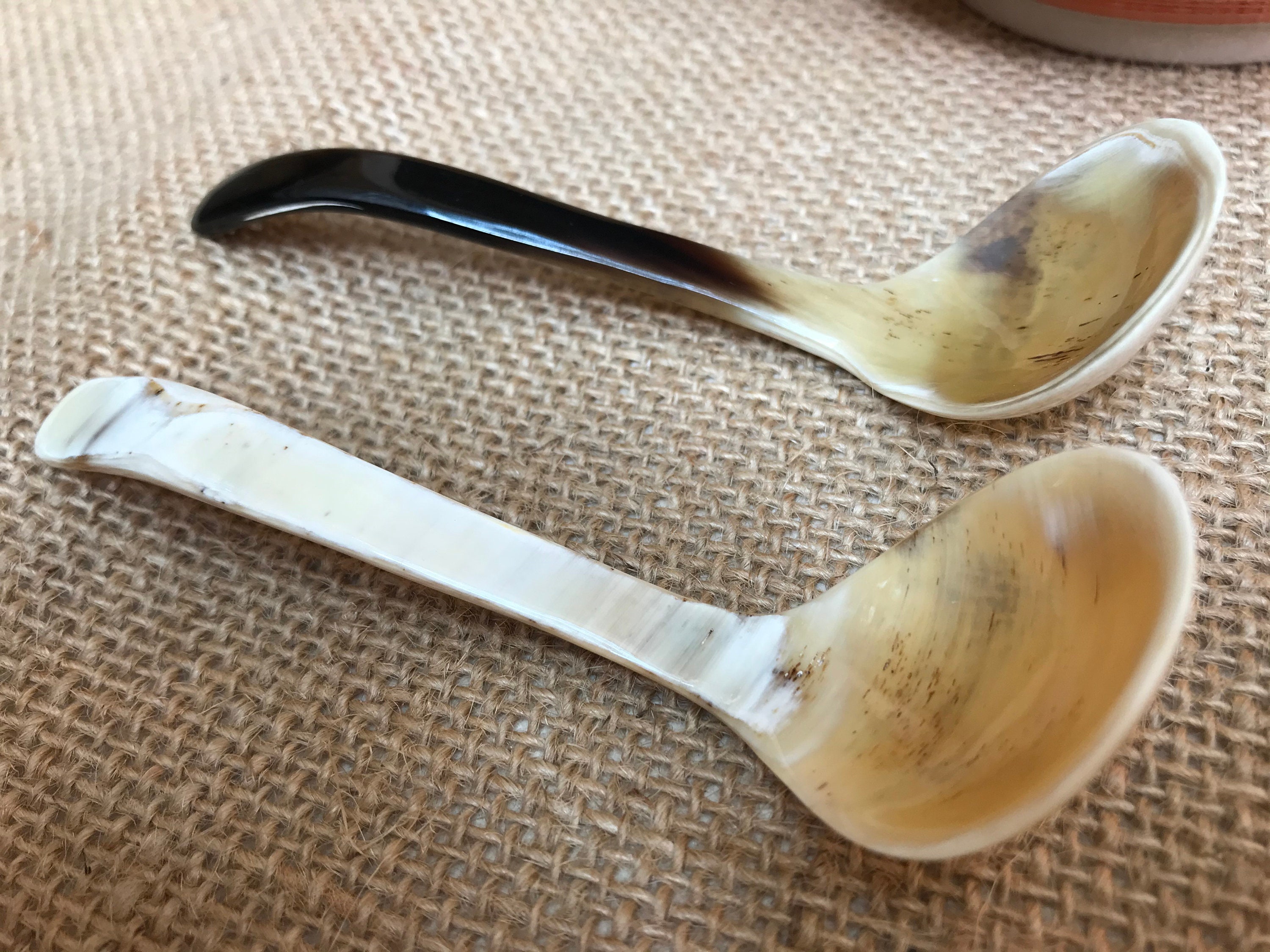 2 Spice Spoons Mini Buffalo Spice Spoon Set Buffalo Horn - Etsy