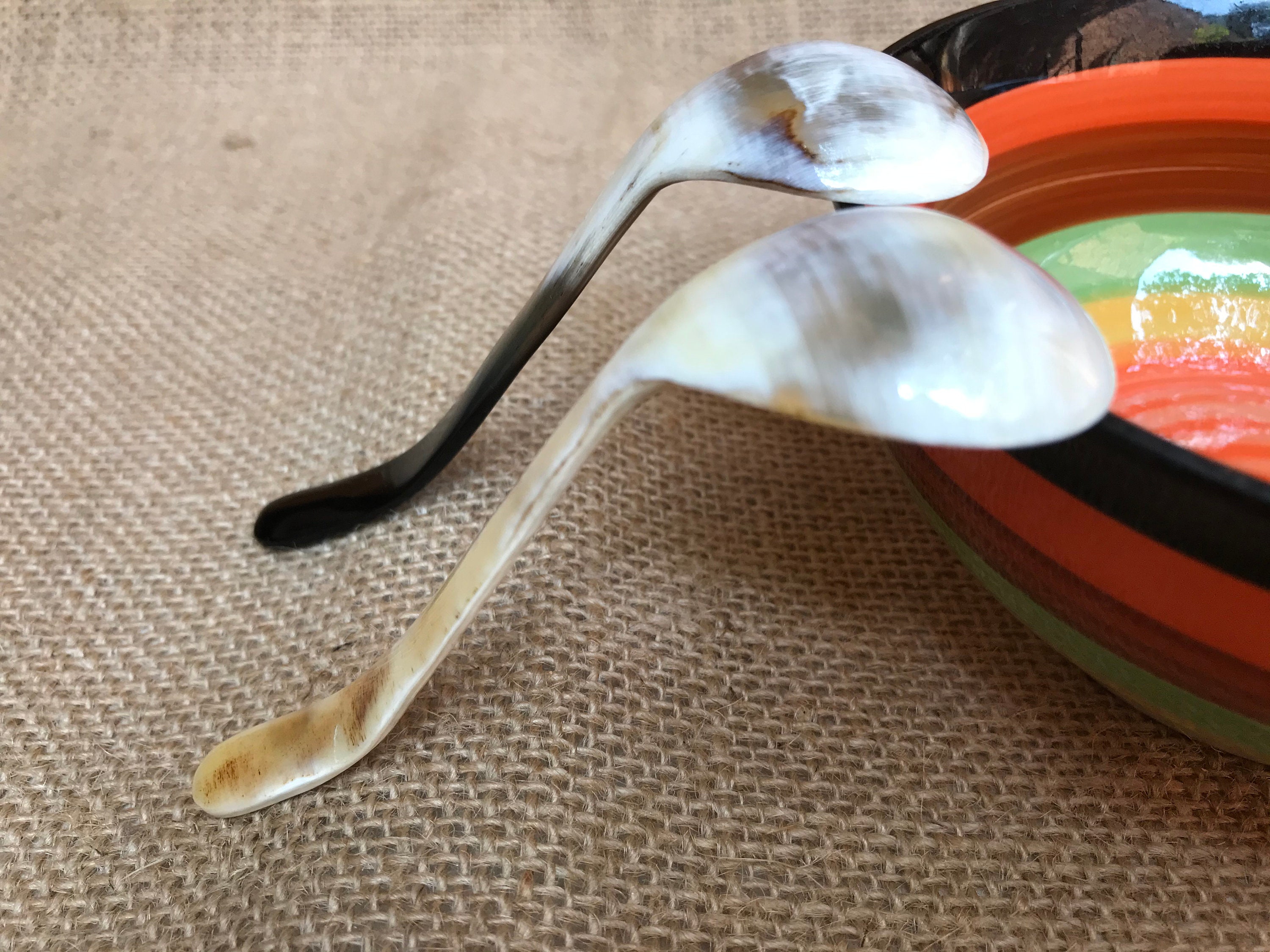 2 Spice Spoons Mini Buffalo Spice Spoon Set Buffalo Horn | Etsy