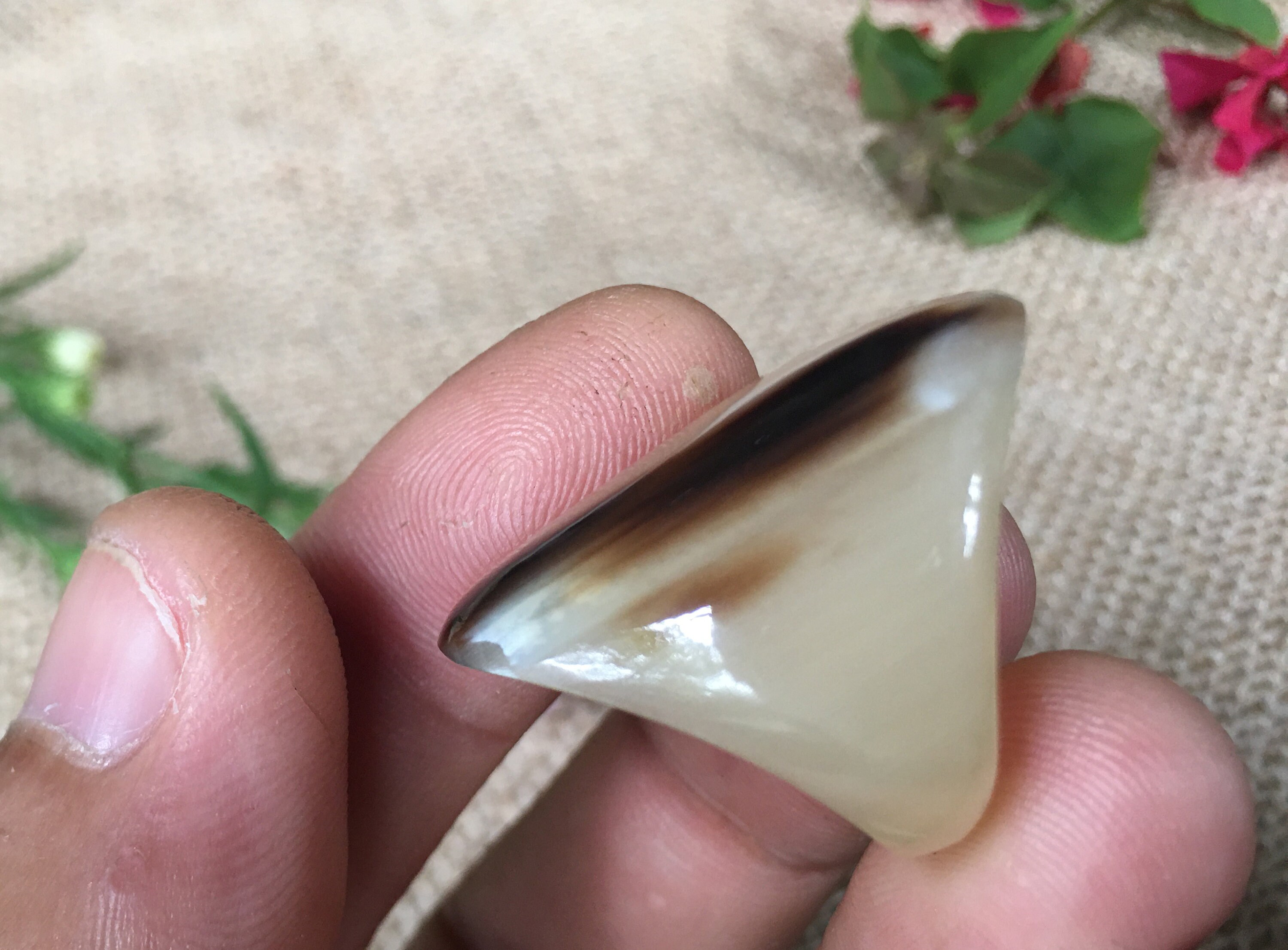 Size 6.5 Horn Jewelry Chunky Ring Gift for Her Boho Ring - Etsy Singapore