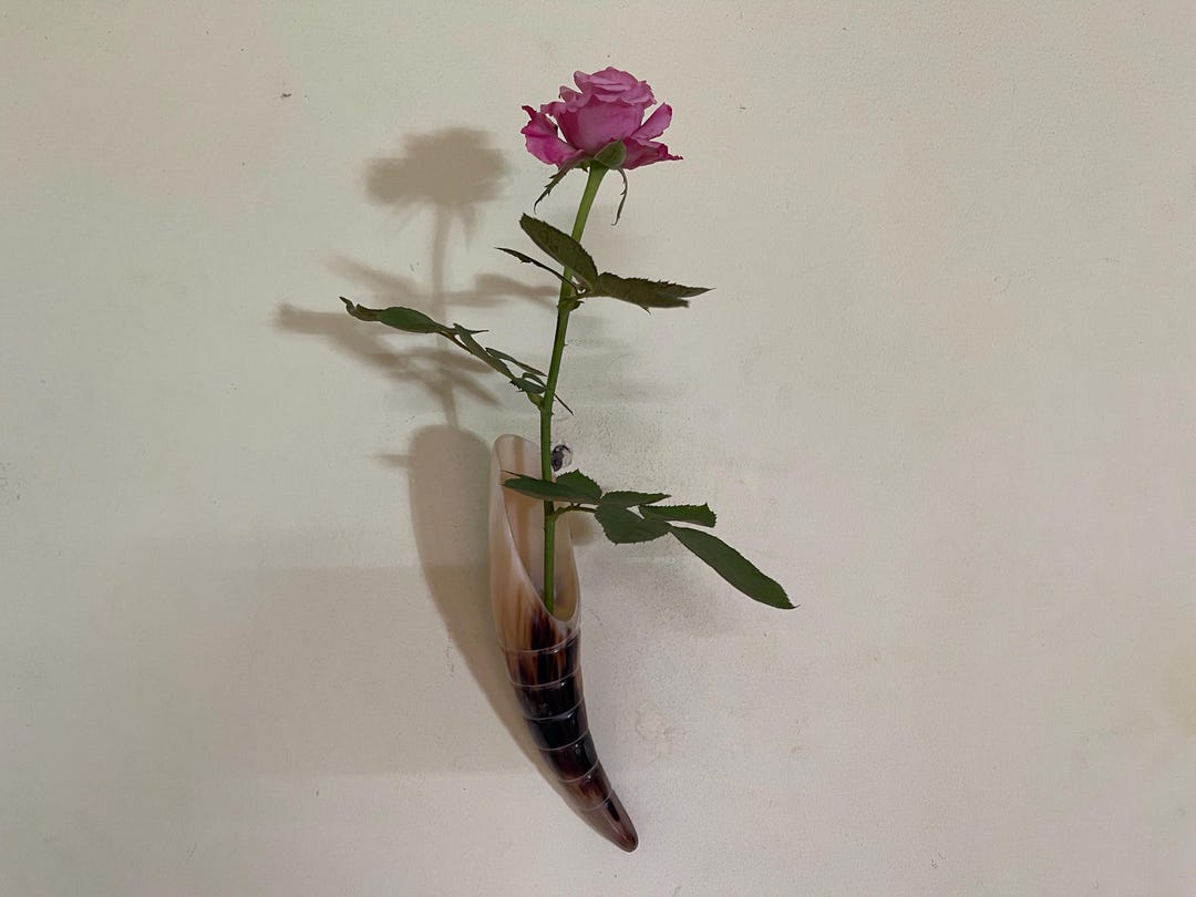 Beautiful Buffalo Horn Flower Vase, Wall Mounted Vase, Home Decor, Horn ...