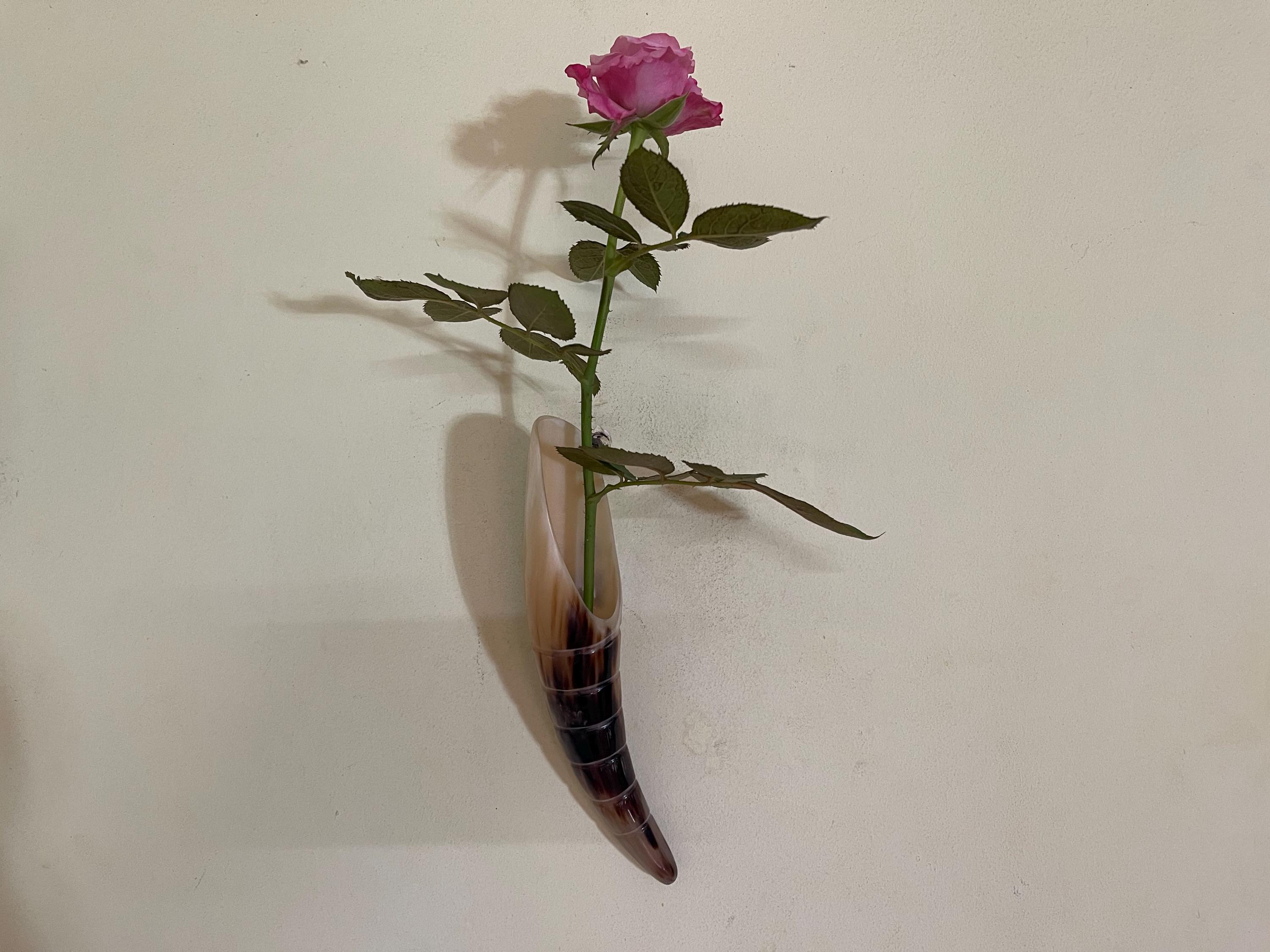 Beautiful Buffalo Horn Flower Vase, Wall Mounted Vase, Home Decor, Horn ...