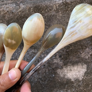 Combo 5 Horn Spoons, Spoons Collection, Buffalo Horn Spoon, Handmade ...