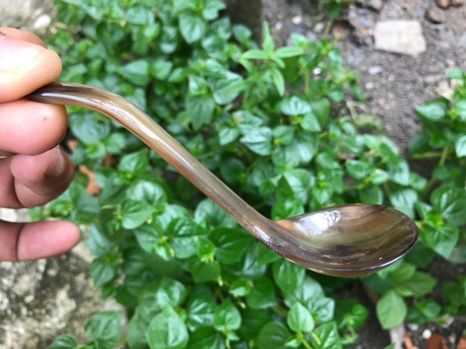 Combo 5 Tiny Spice Spoons, Buffalo Horn Sugar Spoon, Buffalo Horn Scoop ...