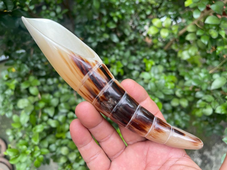 Beautiful Buffalo Horn Flower Vase, Wall Mounted Vase, Home Decor, Horn ...
