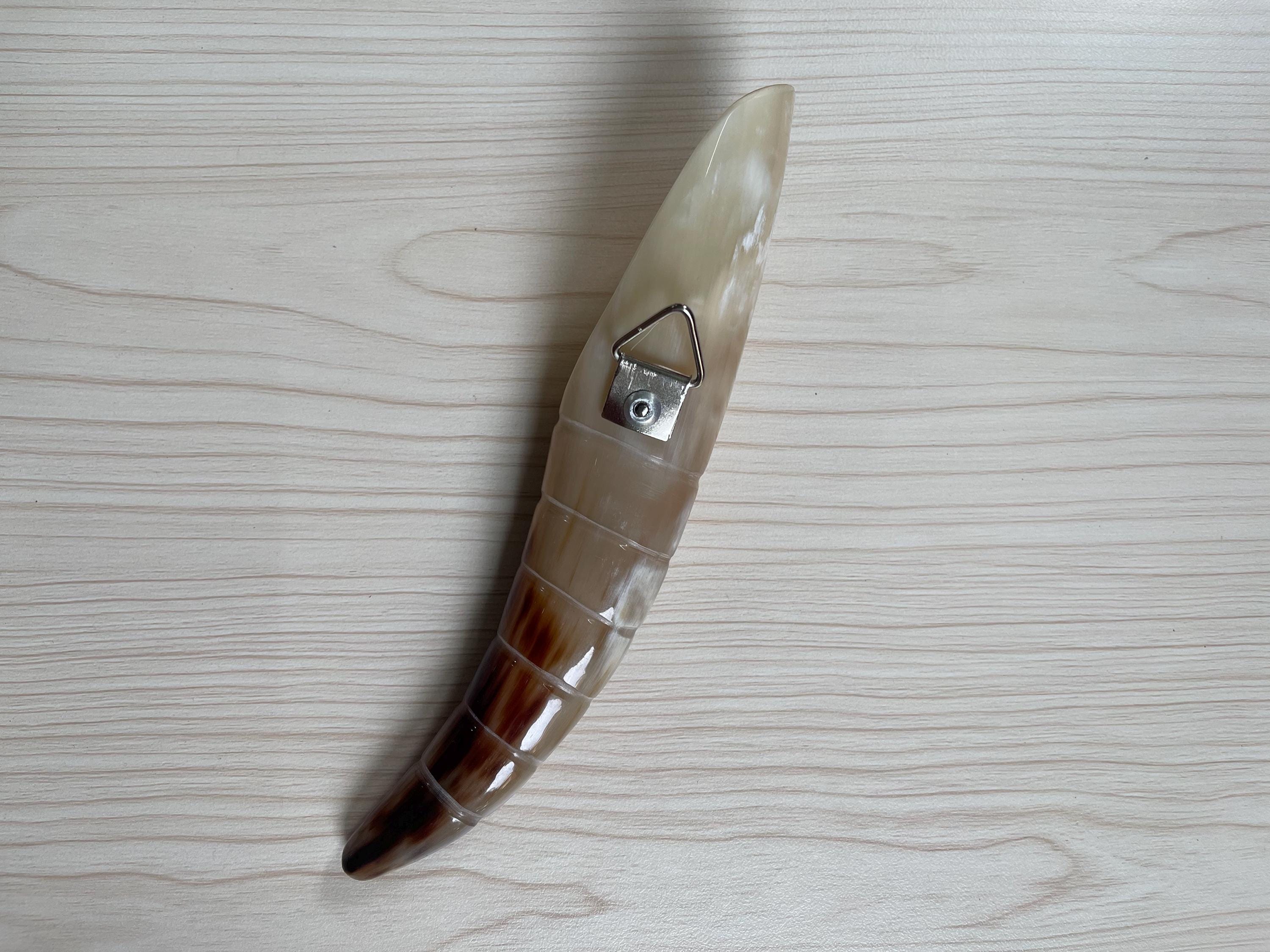 Beautiful Buffalo Horn Flower Vase, Wall Mounted Vase, Home Decor, Horn ...