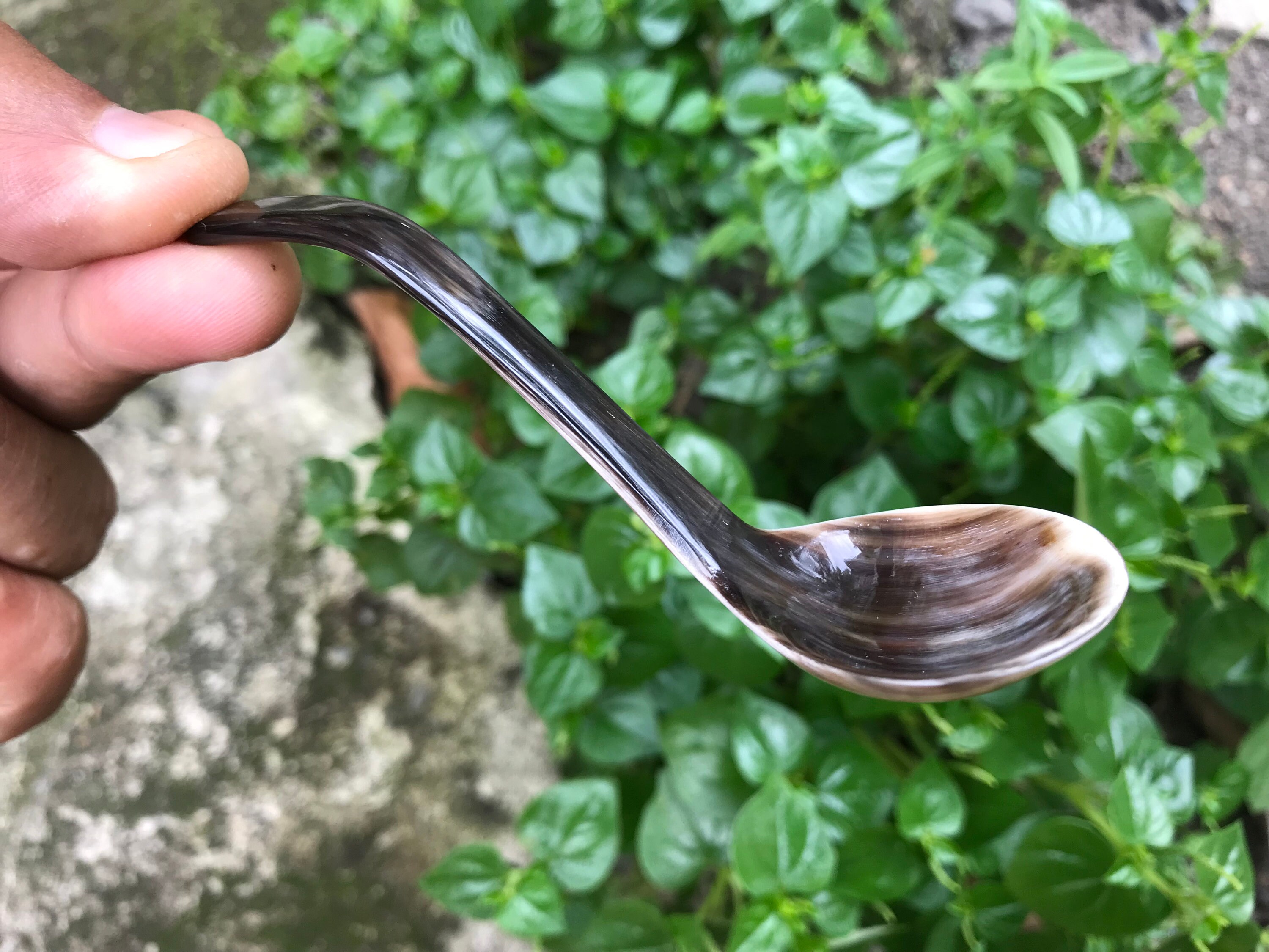 Combo 5 Tiny Spice Spoons, Buffalo Horn Sugar Spoon, Buffalo Horn Scoop ...