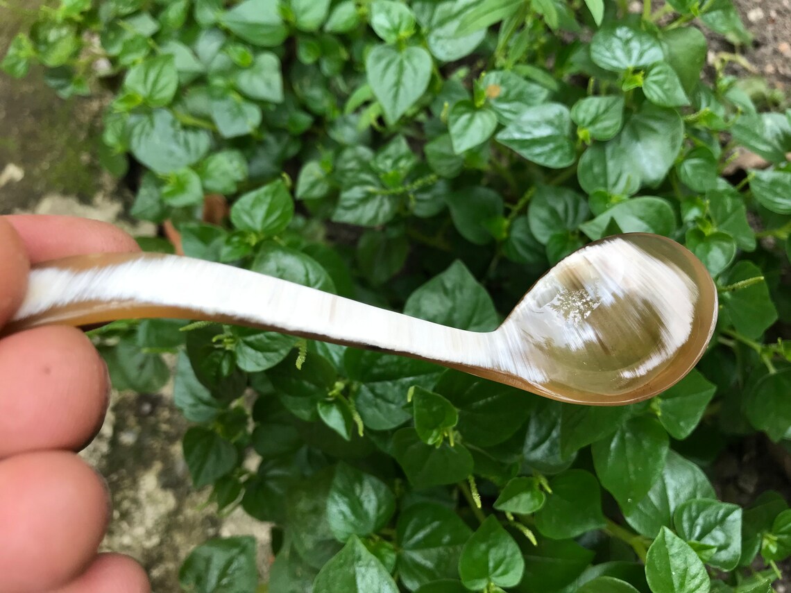 Combo 5 Tiny Spice Spoons, Buffalo Horn Sugar Spoon, Buffalo Horn Scoop ...