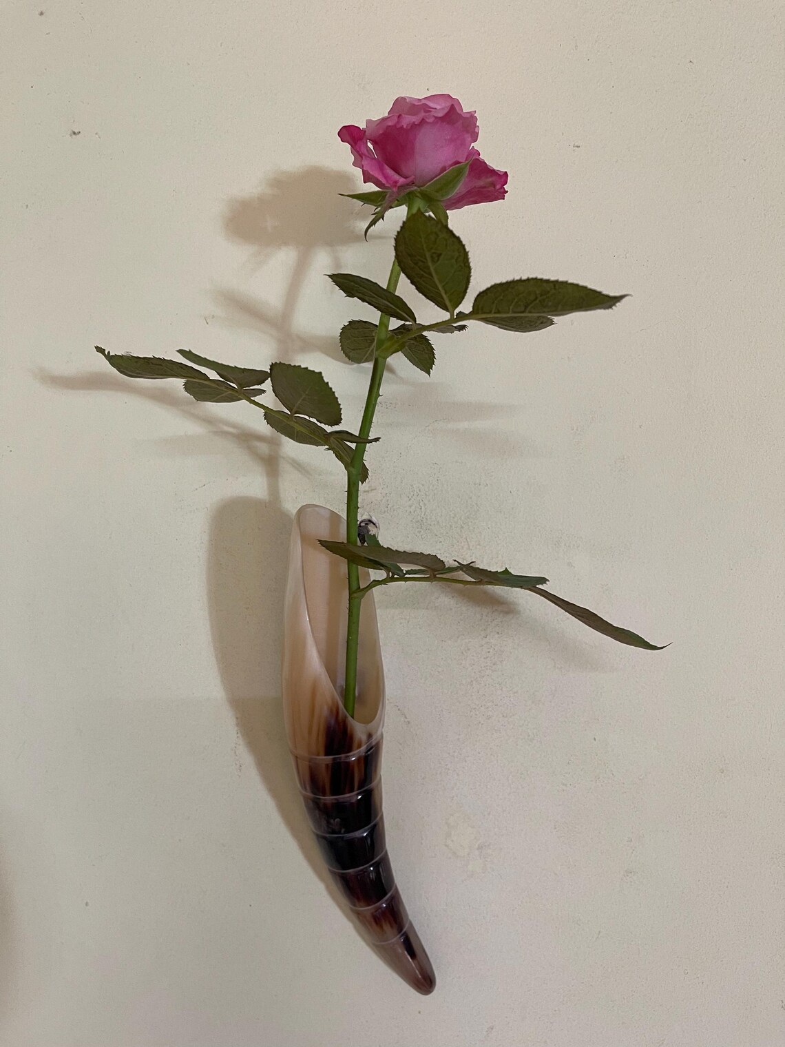 Beautiful Buffalo Horn Flower Vase, Wall Mounted Vase, Home Decor, Horn ...