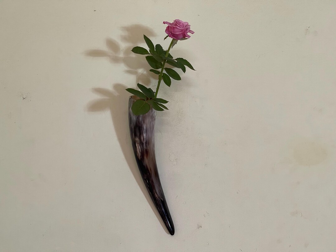 Buffalo Horn Flower Vase, Wall Mounted Vase, Home Decor, Horn Vase ...