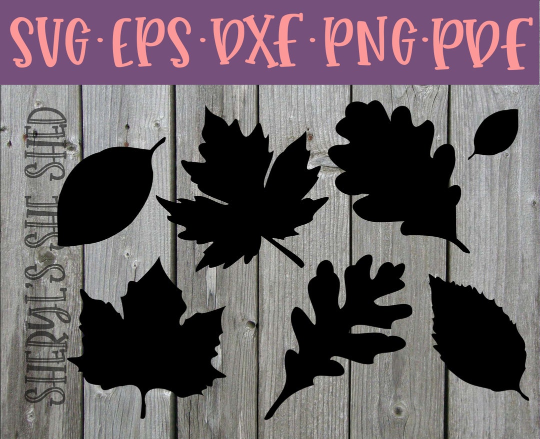 Multiple Leaf Variety Graphic Design for Fall or Thanksgiving SVG Pdf ...