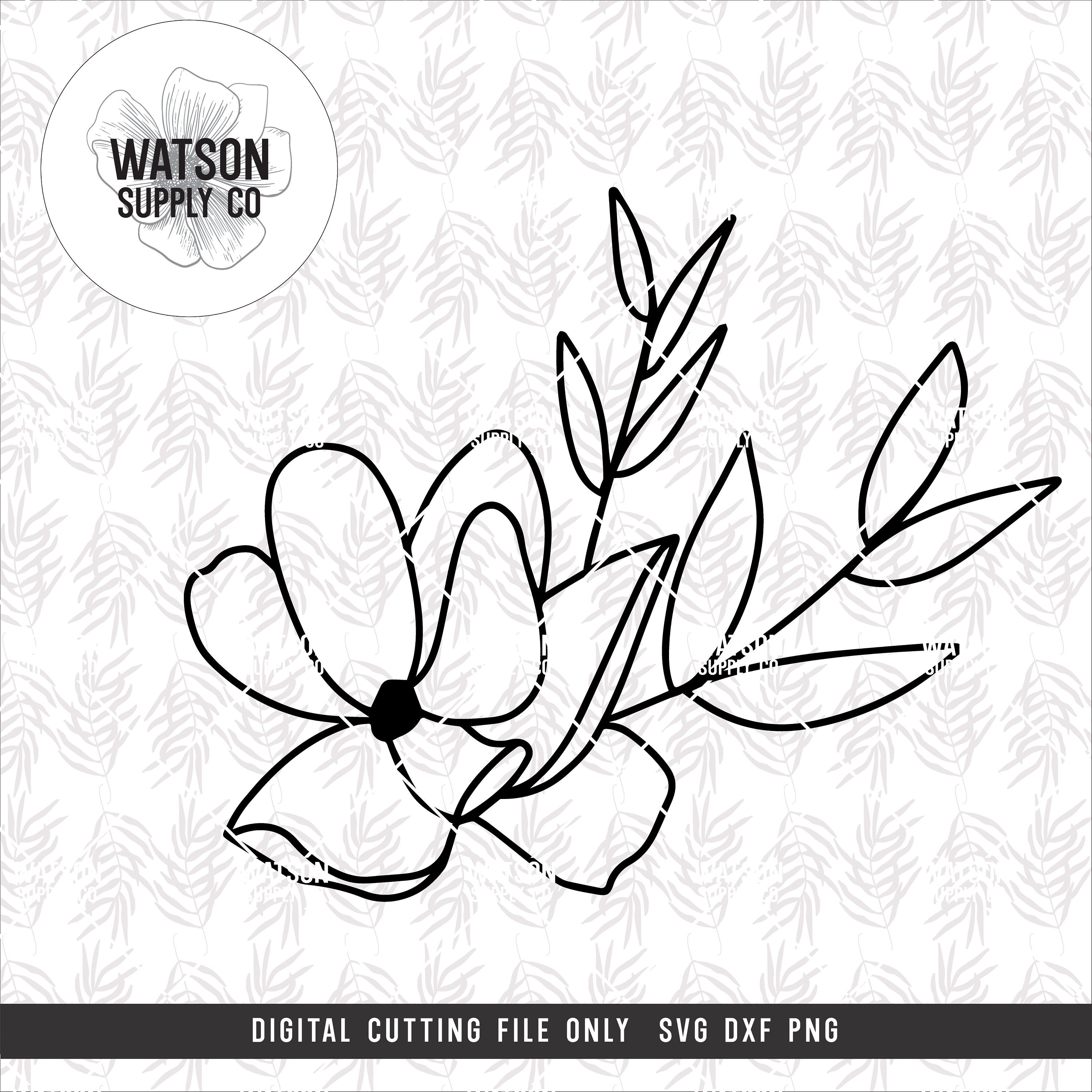 Magnolia SVG PNG DXF Digital Cut File, Botanical, Flower, Magnolia ...