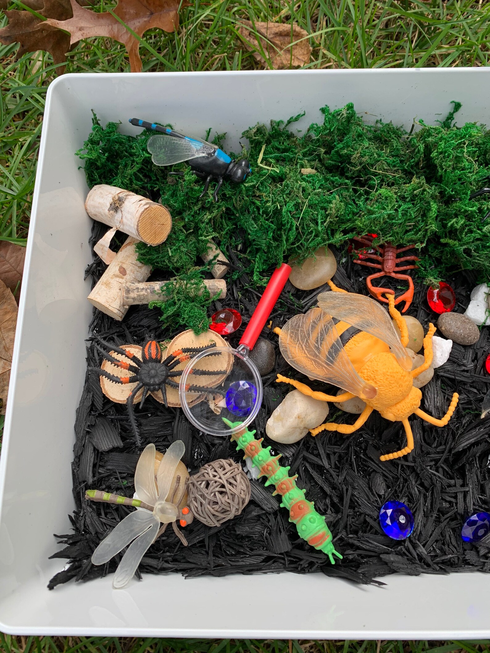Bug Sensory Bin, Bug Sensory Kit, Tinker Toys, Backyard Explorer, Bug ...