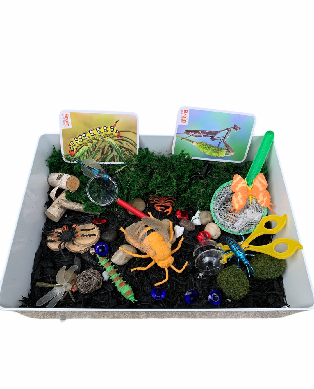 Bug Sensory Bin, Bug Sensory Kit, Tinker Toys, Backyard Explorer, Bug ...