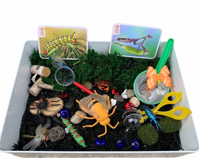 Bug Sensory Bin, Bug Sensory Kit, Tinker Toys, Backyard Explorer, Bug ...