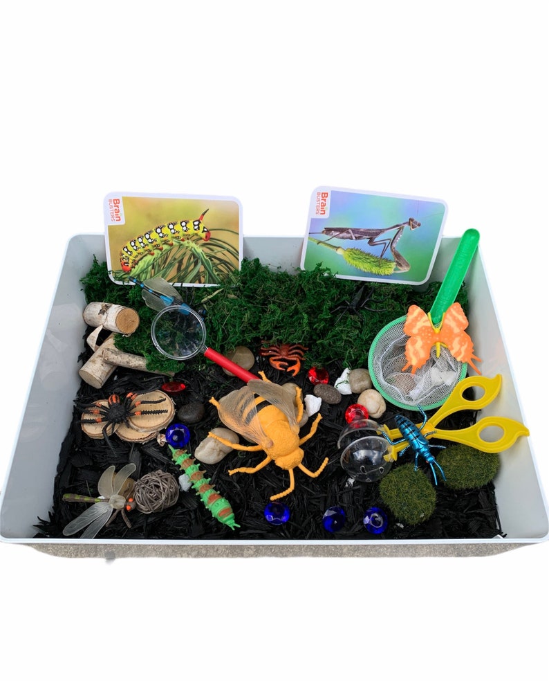 Bug Sensory Bin, Bug Sensory Kit, Tinker Toys, Backyard Explorer, Bug ...