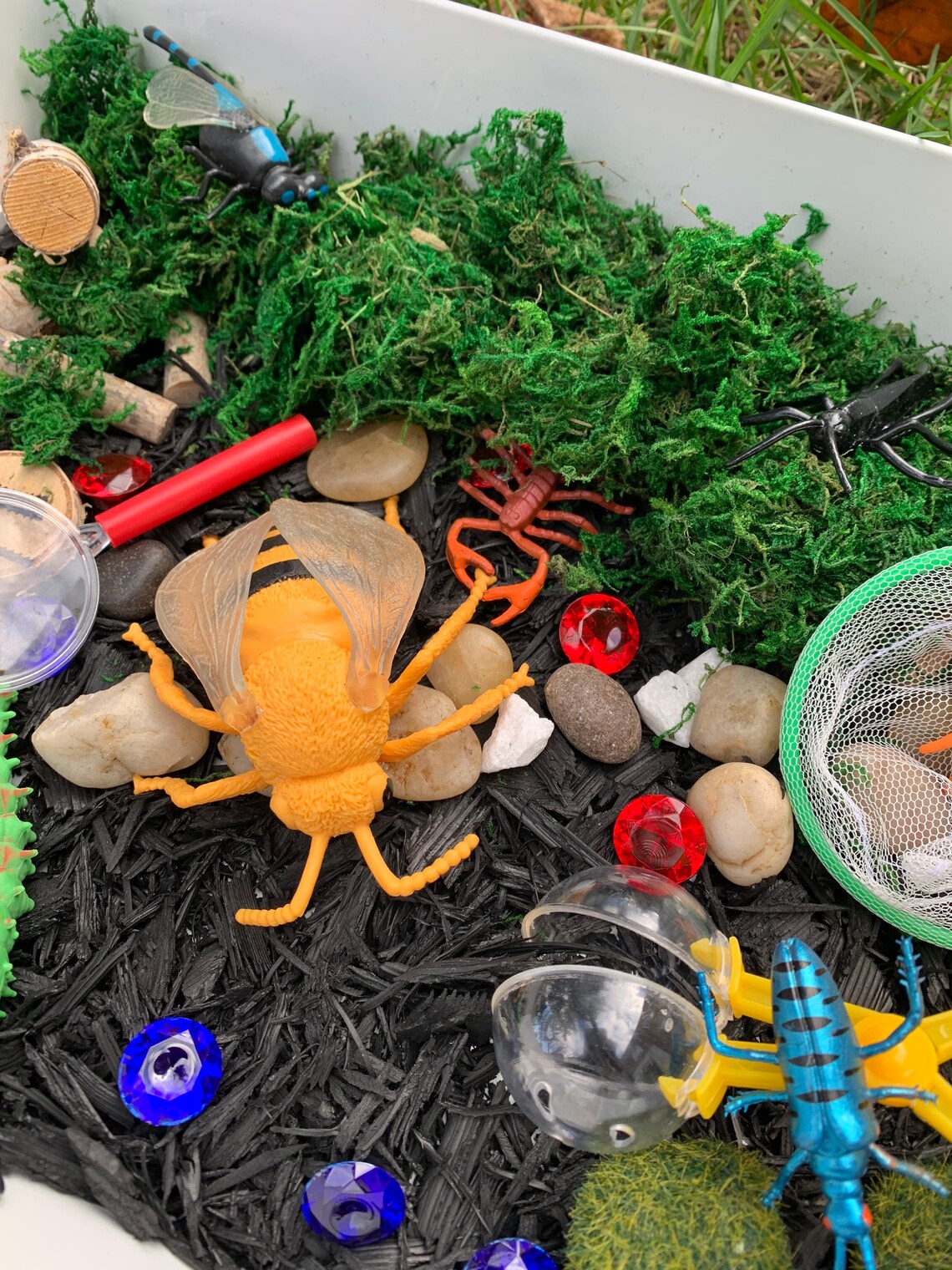Bug Sensory Bin, Bug Sensory Kit, Tinker Toys, Backyard Explorer, Bug ...