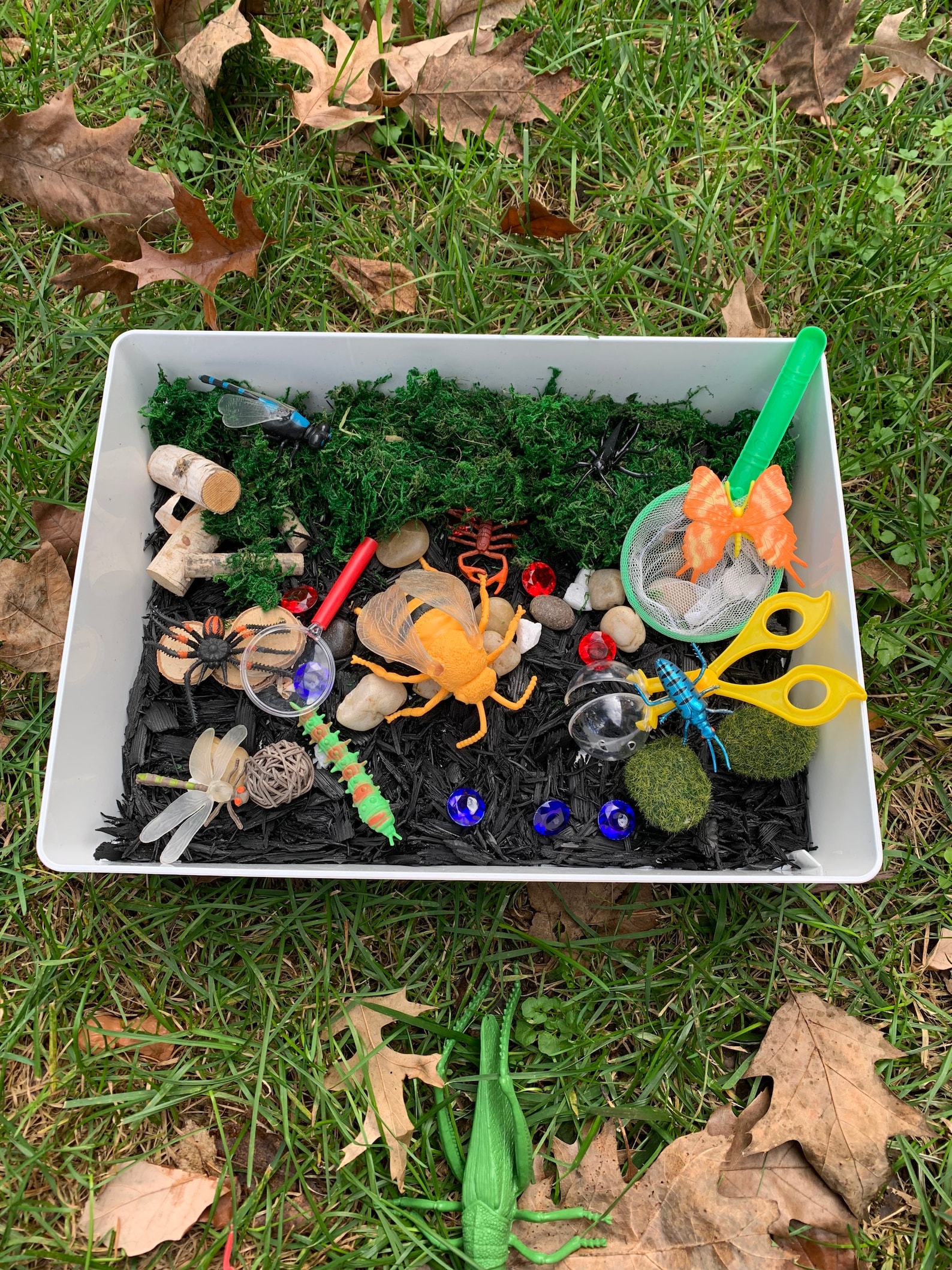 Bug Sensory Bin, Bug Sensory Kit, Tinker Toys, Backyard Explorer, Bug ...