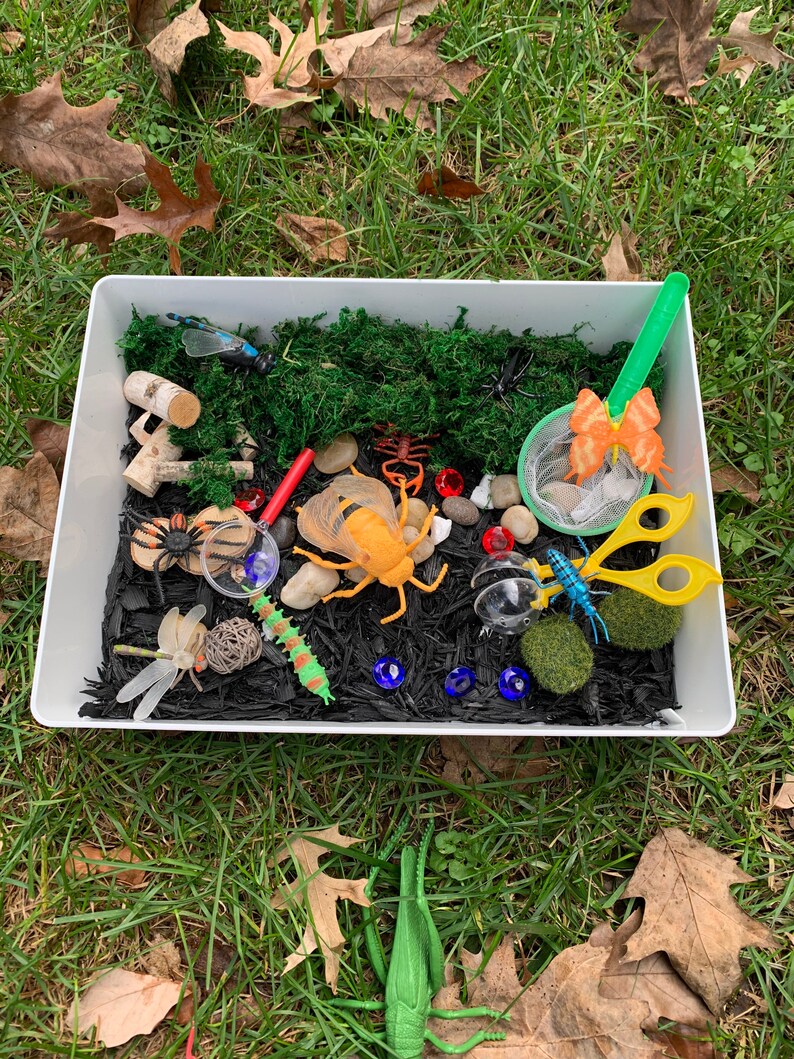 Bug Sensory Bin, Bug Sensory Kit, Tinker Toys, Backyard Explorer, Bug ...