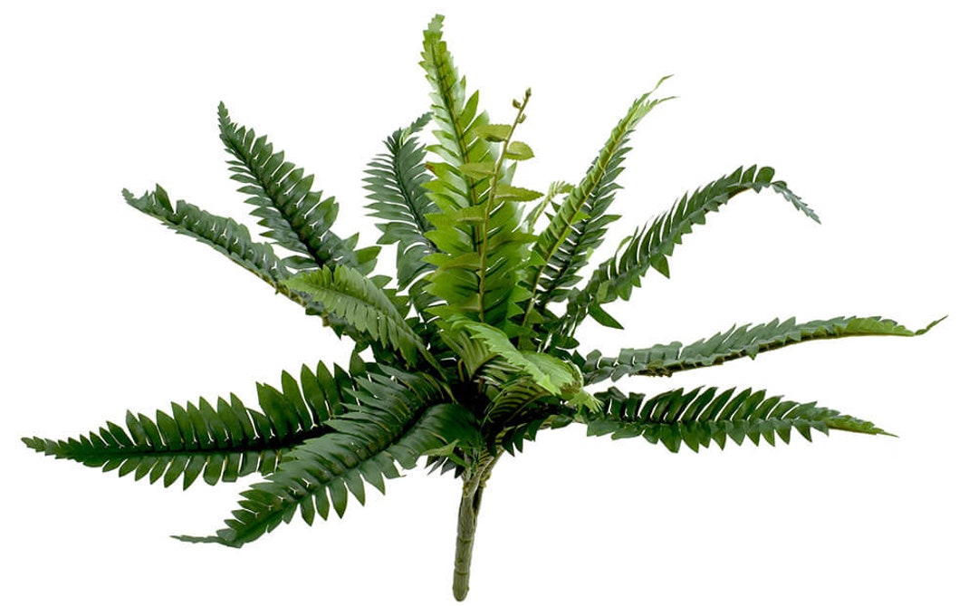 Title: Lifelike Boston Fern Plant - 40cm Height, 50cm Diameter ...