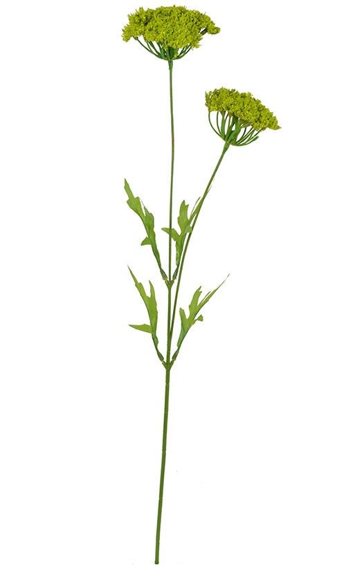 Lifelike Queen Anne's Lace Plant Stem - 60cm Artificial Floral Decor - Etsy