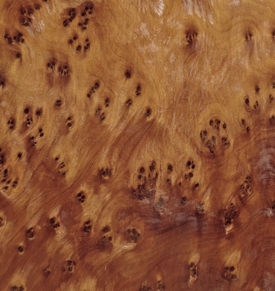 Thuya Burl Wood Veneer 3" X 10" Raw With No Backing 1/42" Thickness A ...