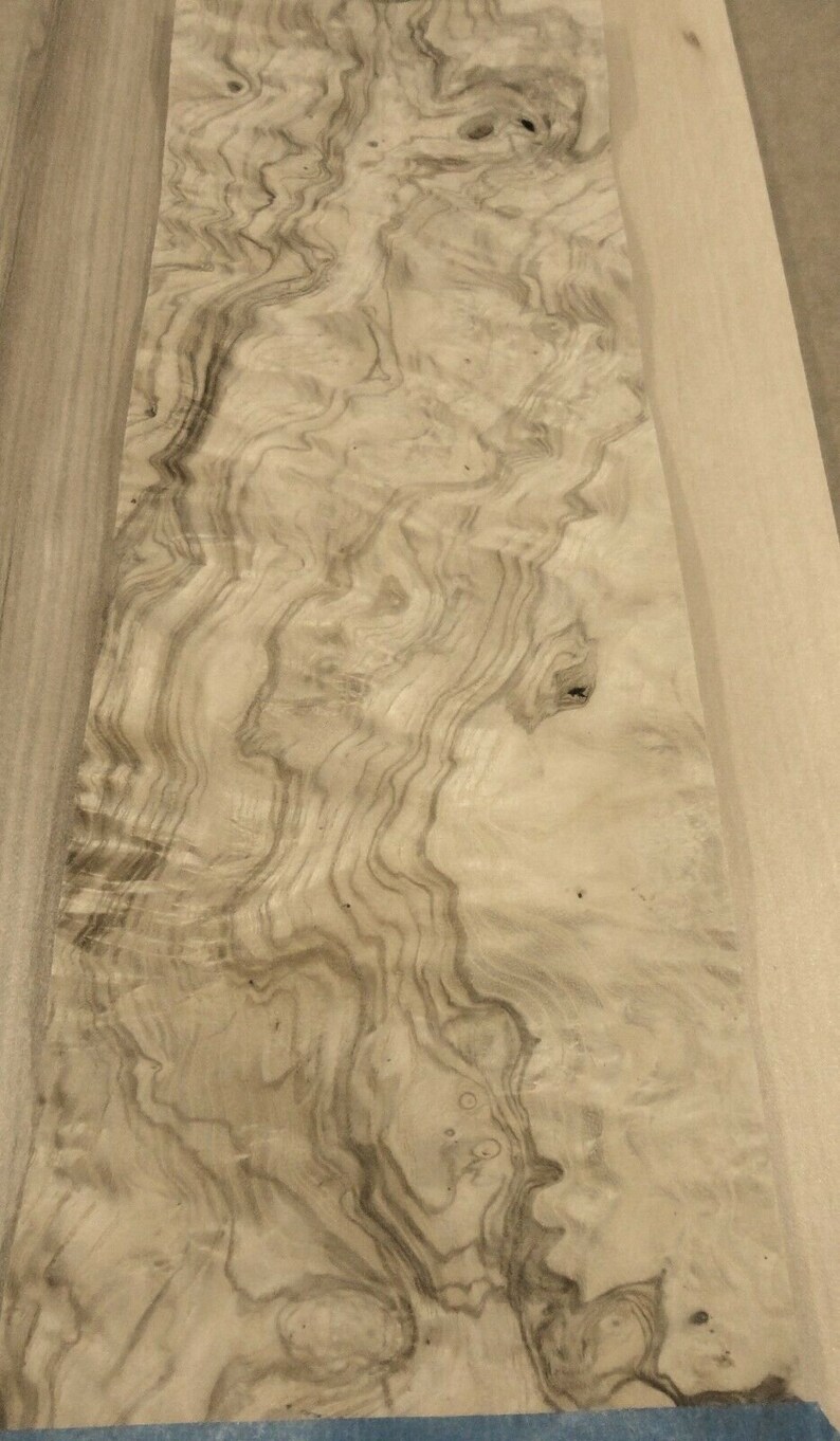 Olive Ash Burl Wood Veneer 4 X 15 Raw Veneer No - Etsy