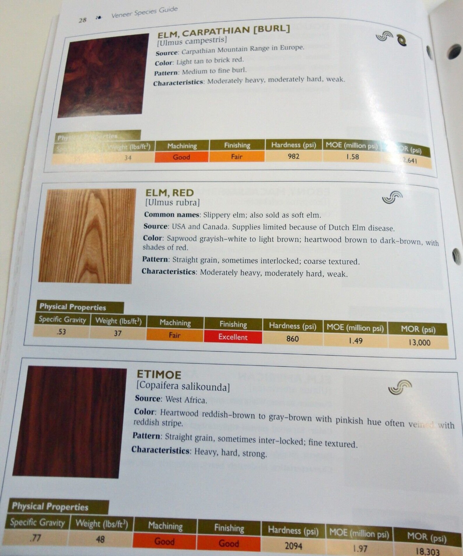 Wood Veneer Sample Species Color Picture Photo Guide 80 Pages - Etsy