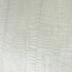 Curly Maple Figured Tiger Wood Veneer 24" X 96" With PSA Adhesive AAA ...