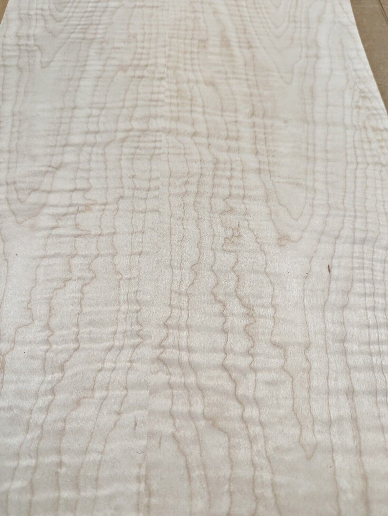 Maple Curly Figured Wood Veneer 12 X 96 on Wood Backer AA Grade 1/25 ...