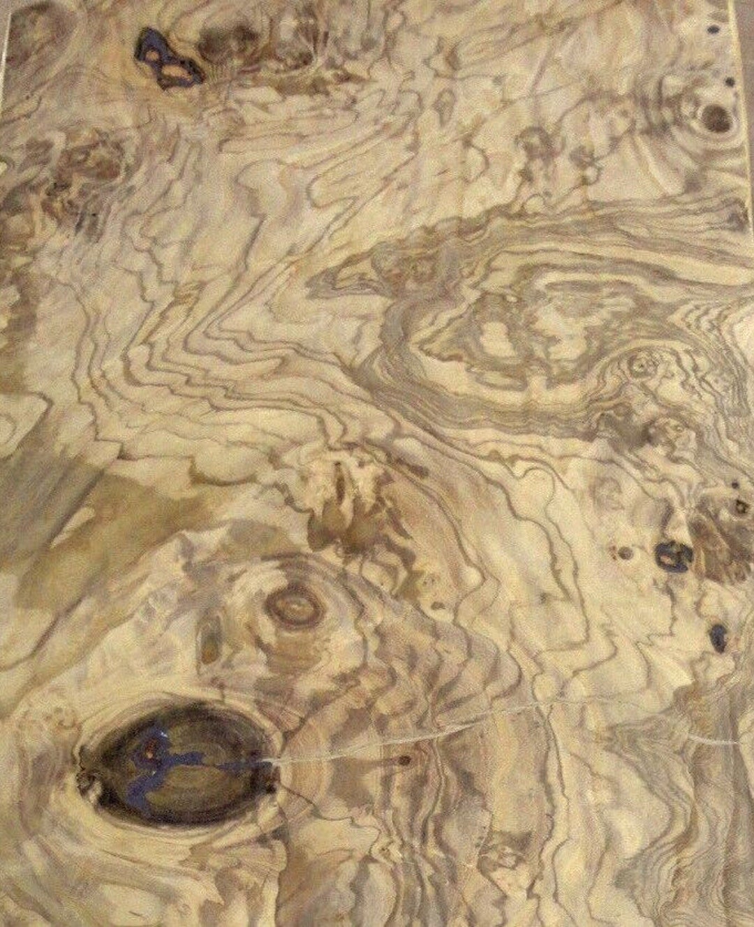 Olive Ash Burl Real Wood Veneer 12" X 20" With Paper Backer AA Grade 1/ ...
