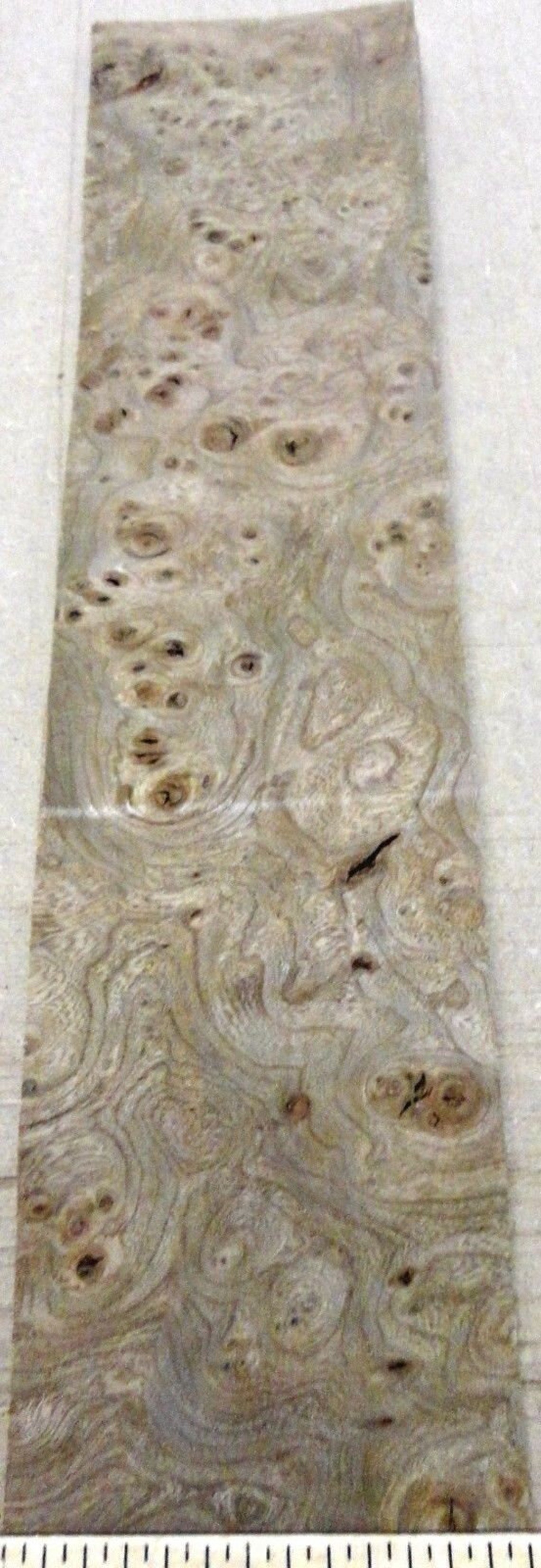Carpathian Elm Burl Wood Veneer Samples 3 X 15 X - Etsy