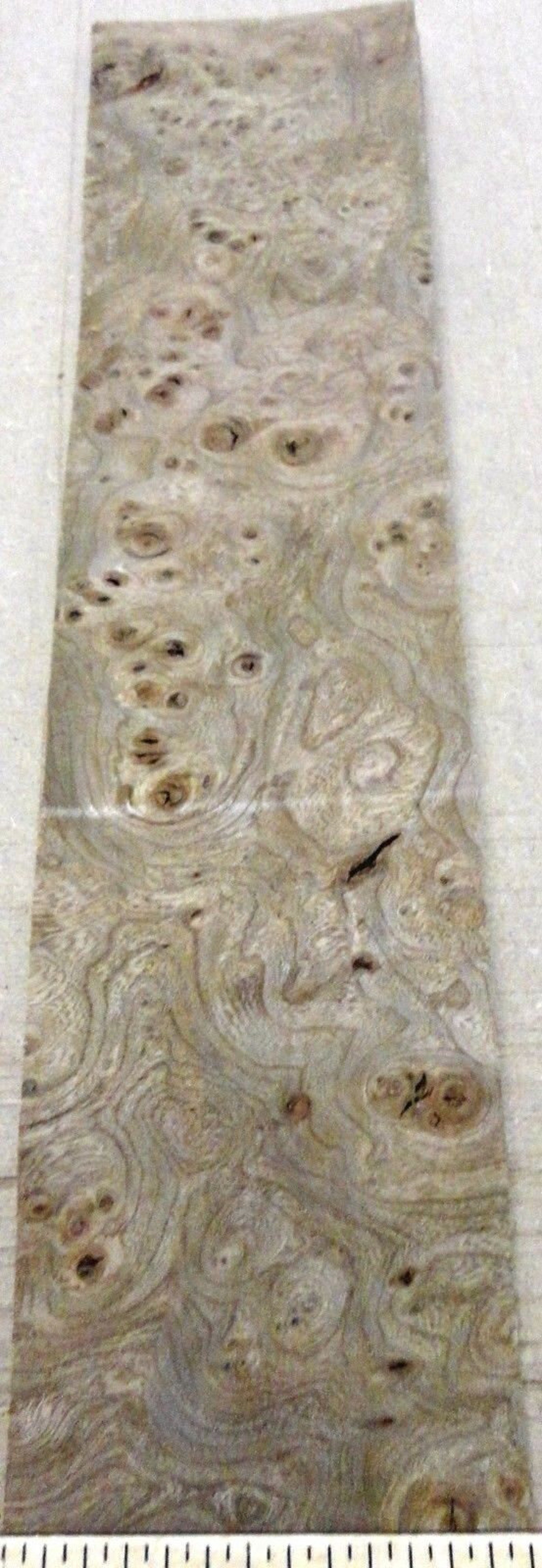 Carpathian Elm Burl Wood Veneer Samples 3 X 15 X - Etsy