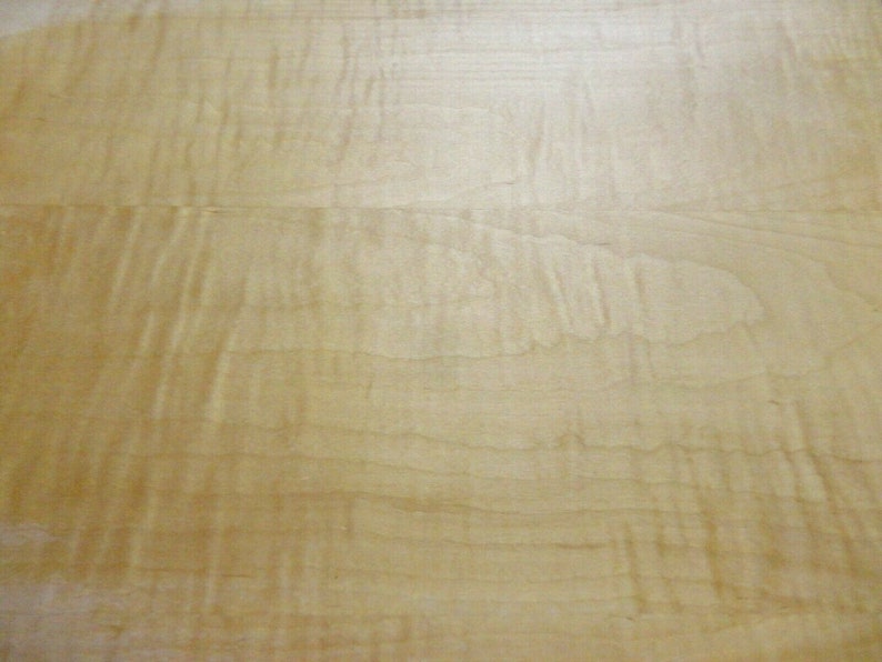 Curly Maple Figured Tiger Wood Veneer 24 X 96 With | Etsy