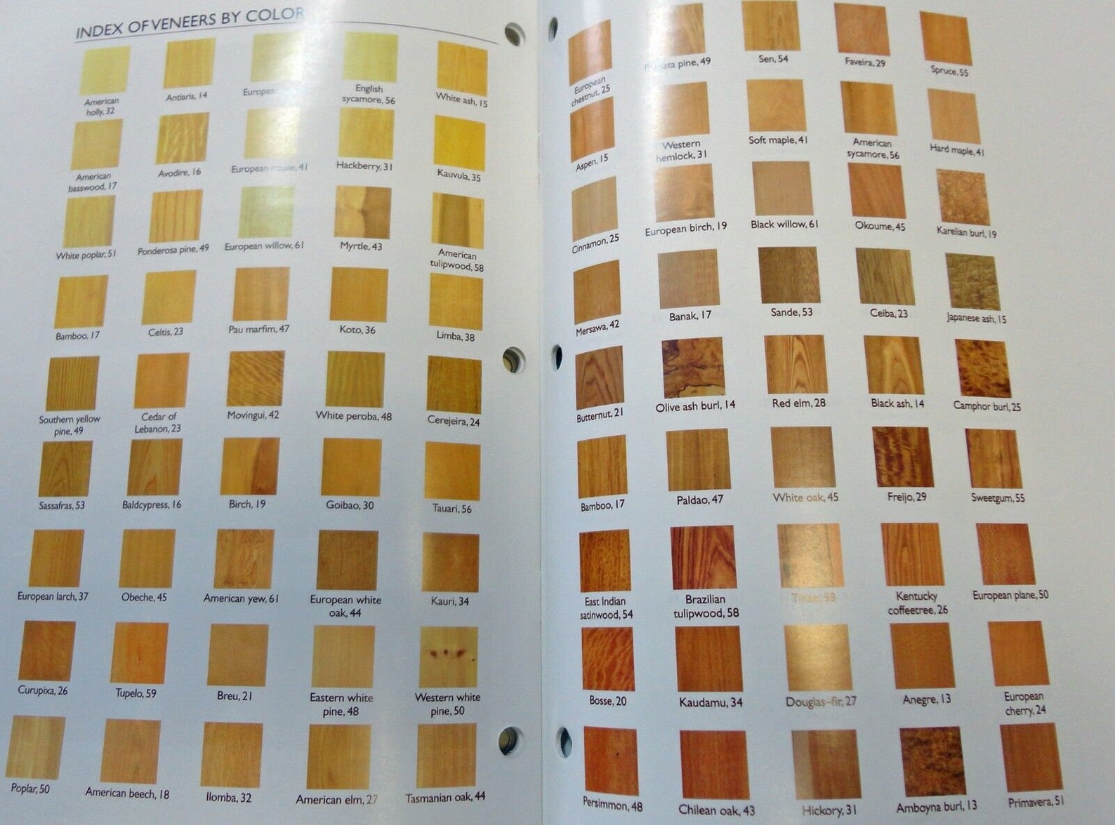 Wood Veneer Sample Species Color Picture Photo Guide 80 Pages - Etsy