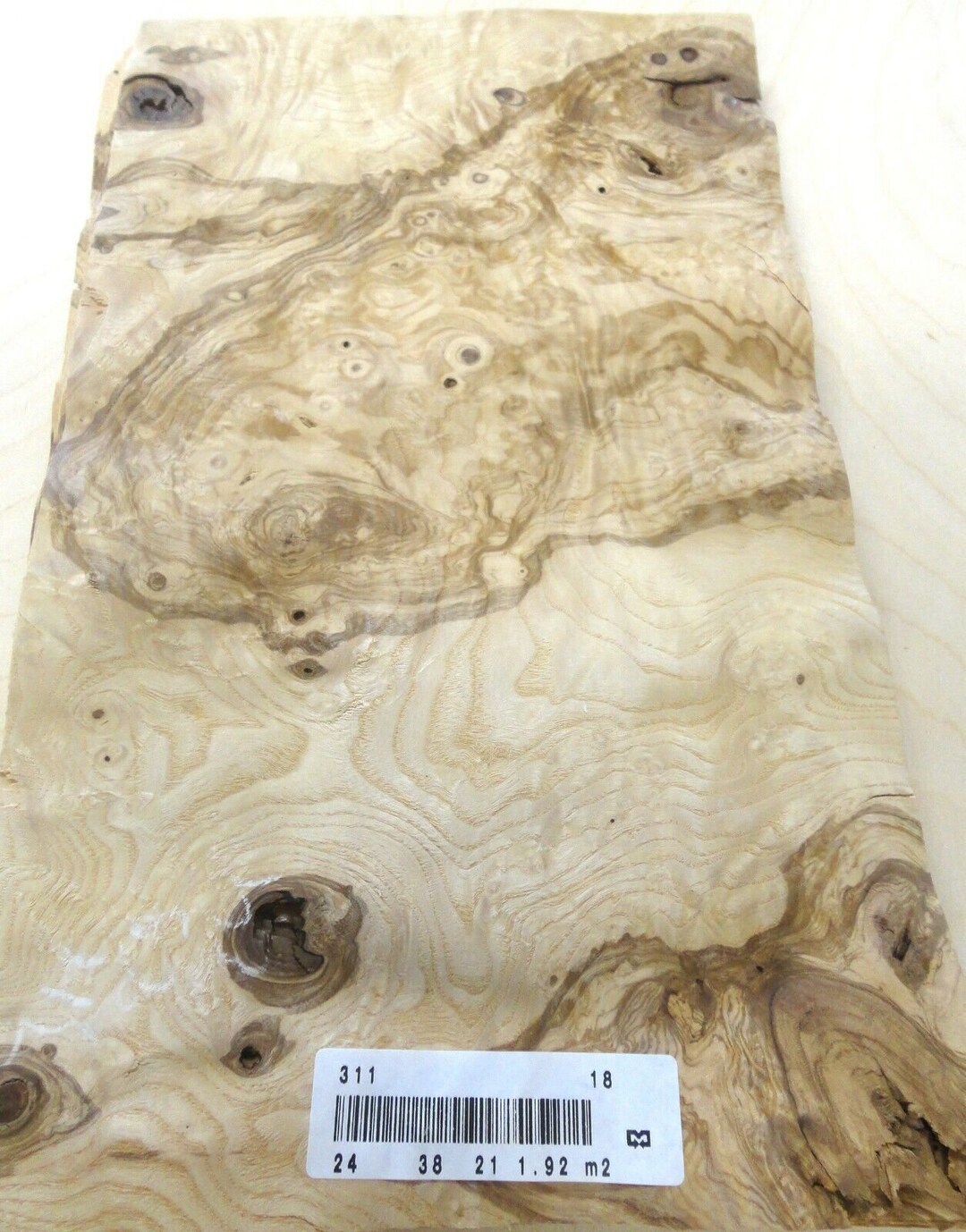 Olive Ash Burl Wood Veneer 9 X 15 Raw No Backing - Etsy