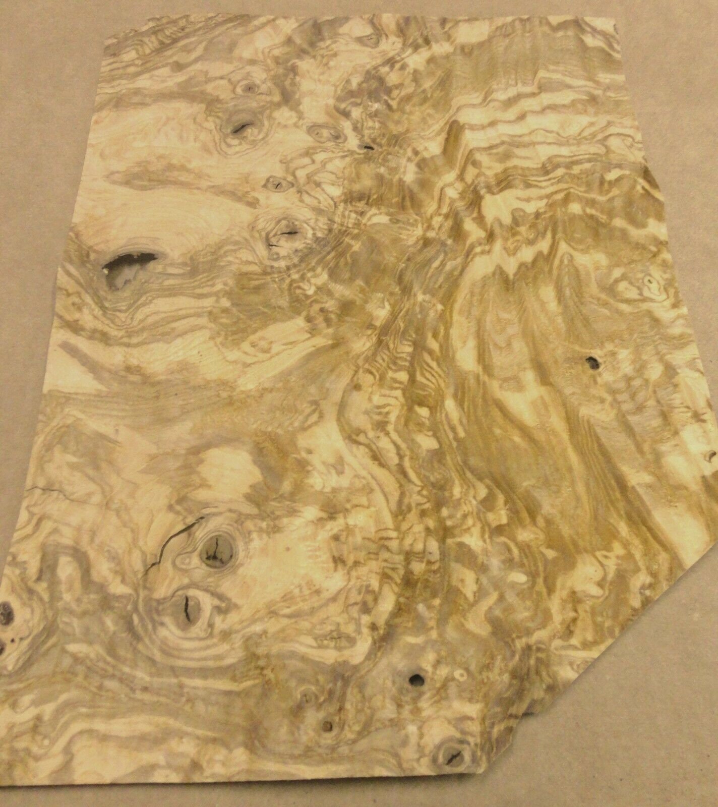 Olive Ash Burl Wood Veneer 10 X 17 Raw With No Backing 142 Thickness A ...