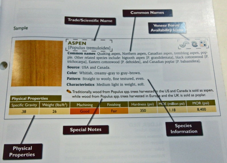 Wood Veneer Sample Species Color Picture Photo Guide 80 Pages - Etsy