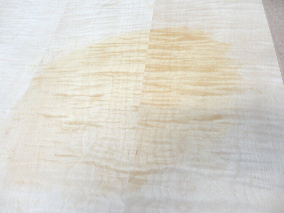 Maple Curly Figured Tiger Wood Veneer 24" X 96" With PSA Adhesive AA ...